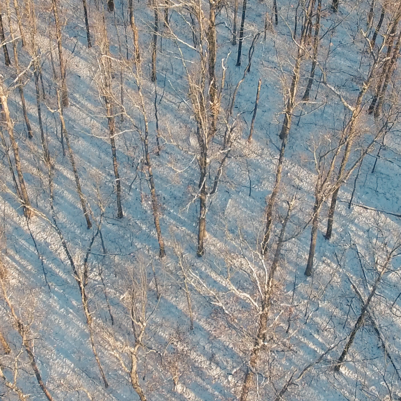 Snow in Arkansas Aerial Video | Ozark Drones | Arkansas Drone Pilot ...